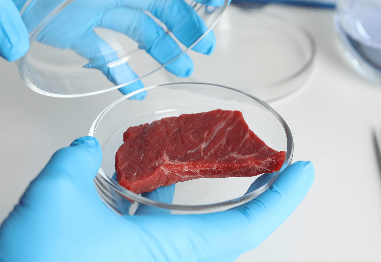 How sustainable proteins can meet the world’s food needs