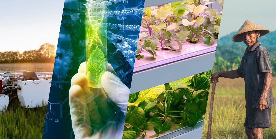 Grow Impact Accelerator names 10 startups in latest cohort