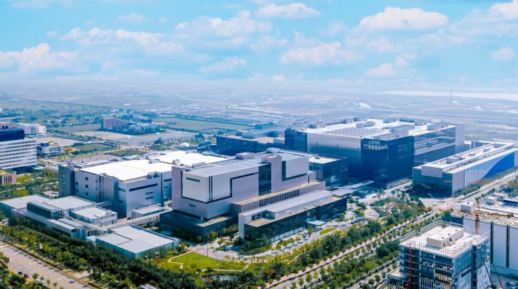 Samsung’s biotech arm launches cancer-drug screening with organoids