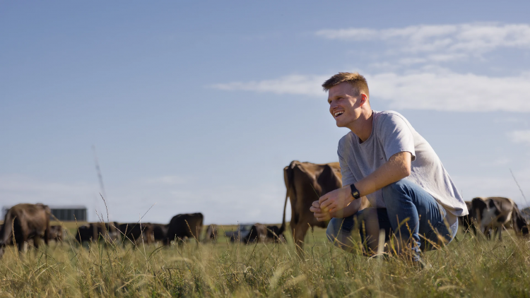 NZ cow tech firm Halter nets $165m series D, hits $1b value